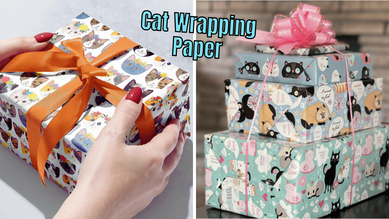 Unwrap the Fun: A Review of 5 Cat-Themed Wrapping Papers