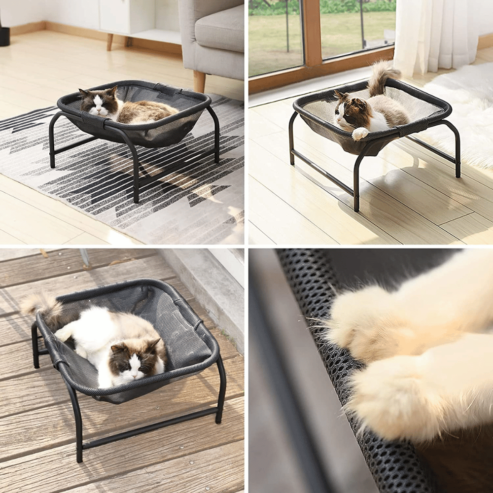 Elevating Your Cat's Naptime: The Best 7 Elevated Cat Beds
