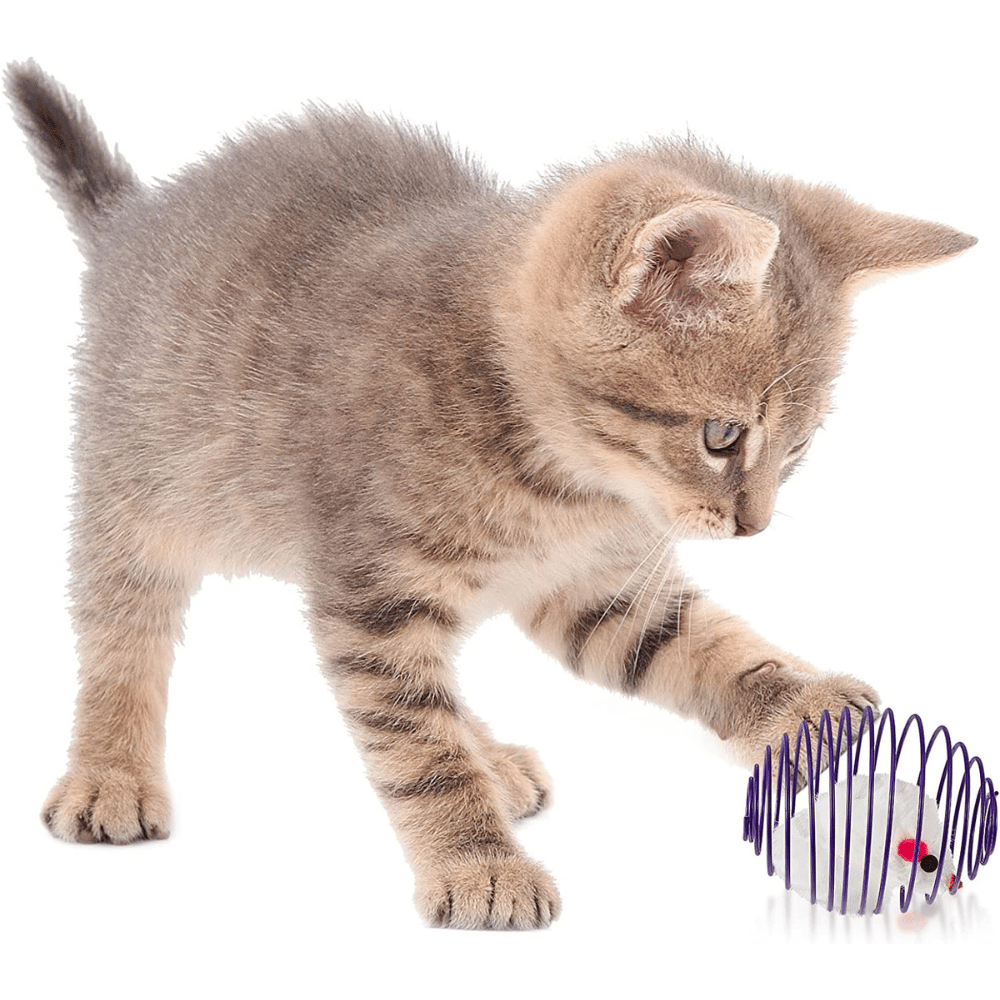 Five Feline-Approved Spring Toys for Your Cat's Delight