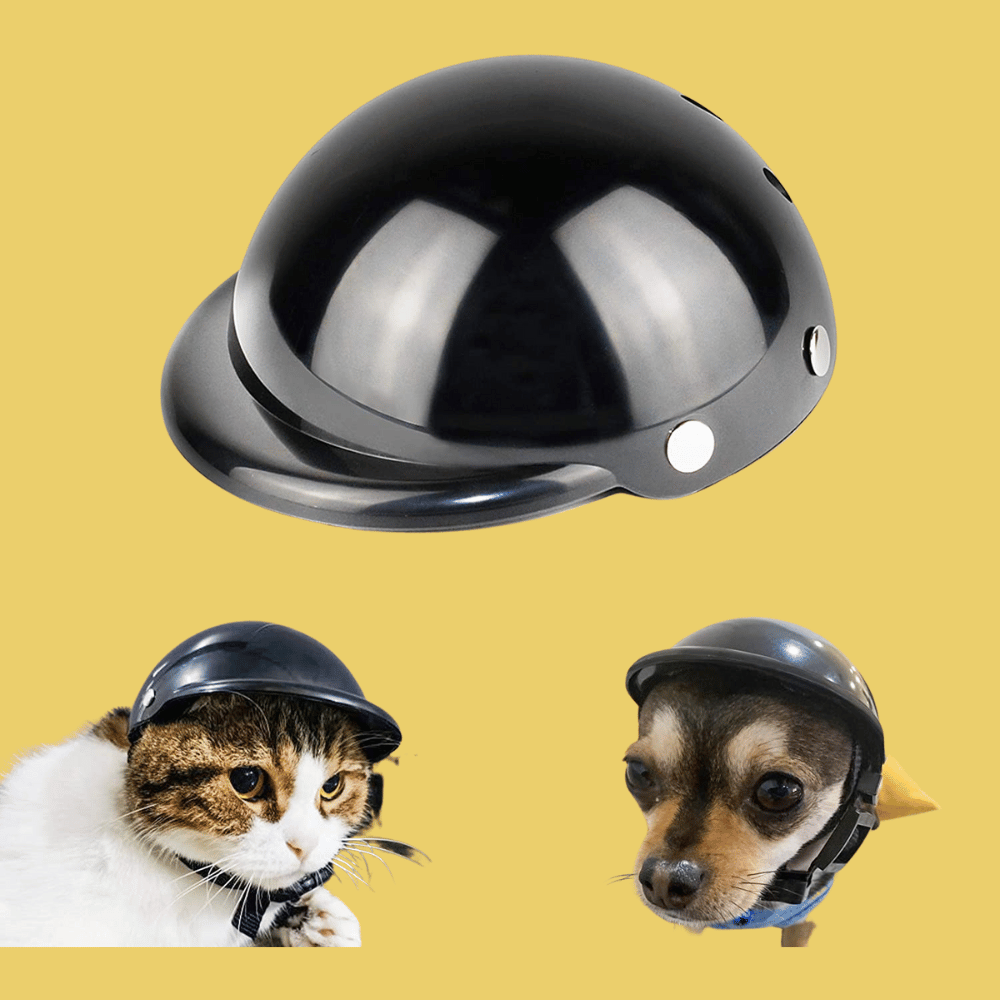 Meow-velous Protection: 5 Purr-fect Helmets for Cats!