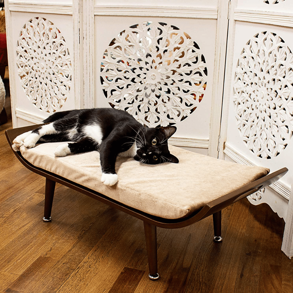 6 Modern Cat Beds That'll Make Your Feline Feel Like Royalty