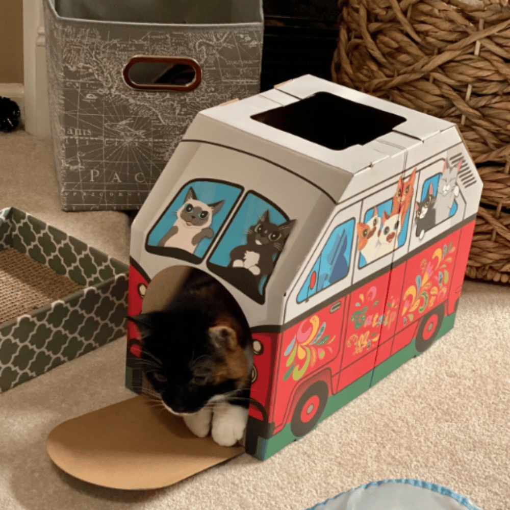 Get Ready to Purr: Our Review of 7 Cat Playhouses!