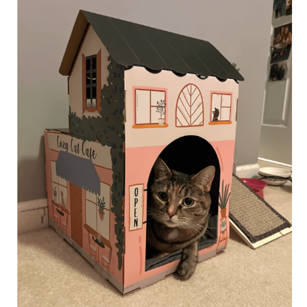 Get Ready to Purr: Our Review of 7 Cat Playhouses!