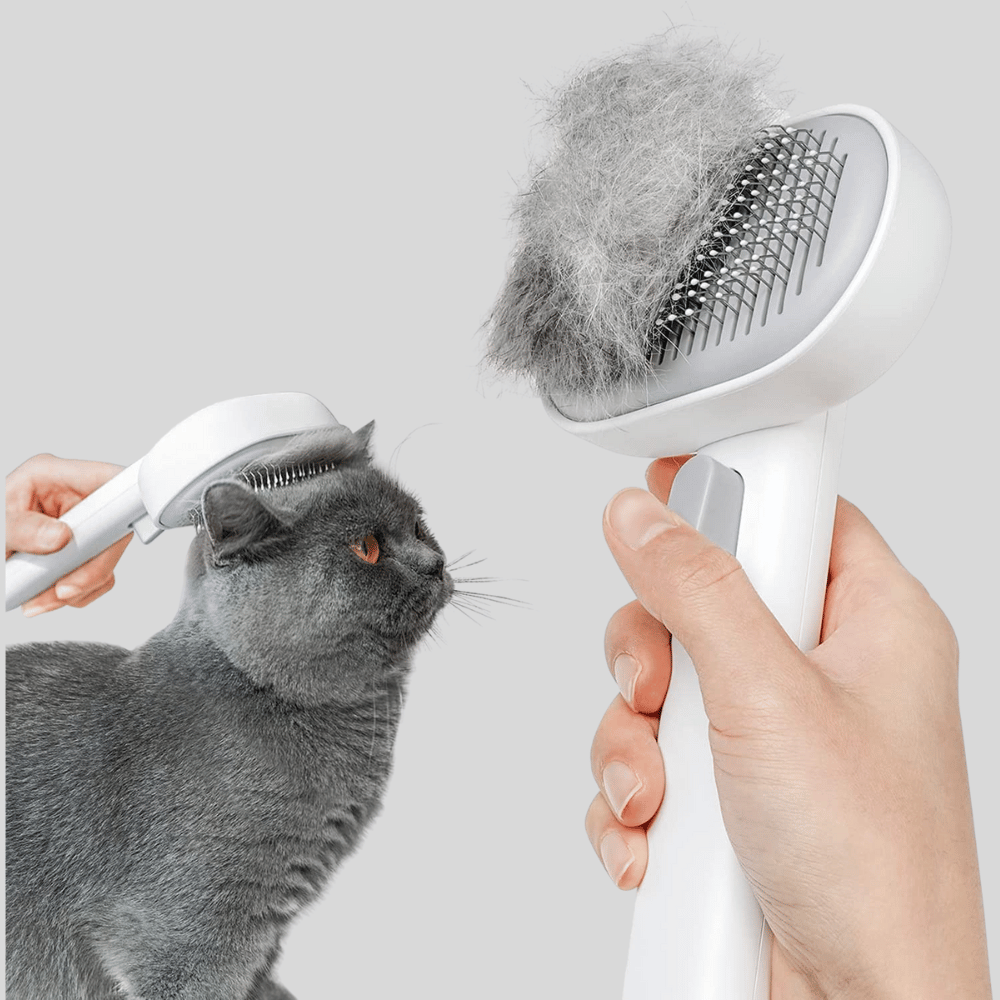 Slick Move: 6 Cat Slicker Brushes For a Fur-free Home!
