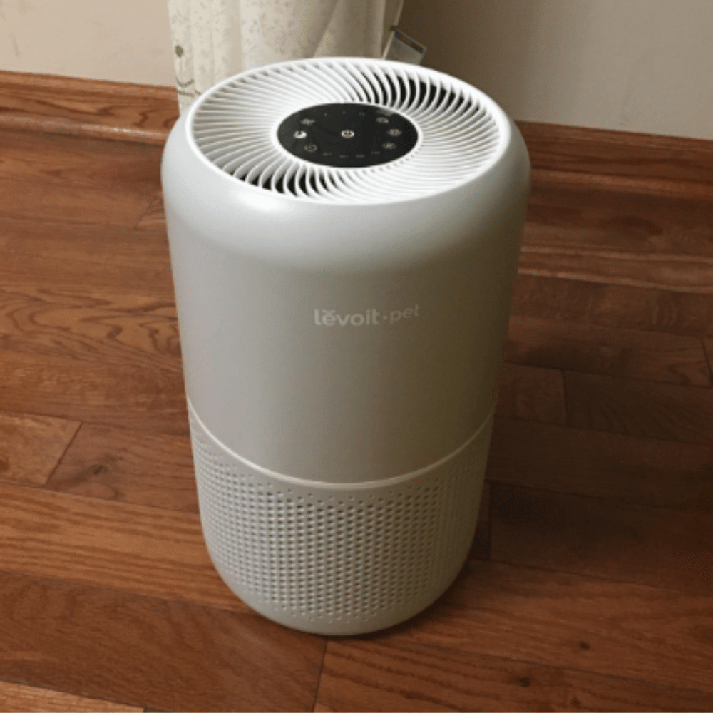 5 Kitten-Approved Air Purifiers: Put an End to Litter Box Odors!