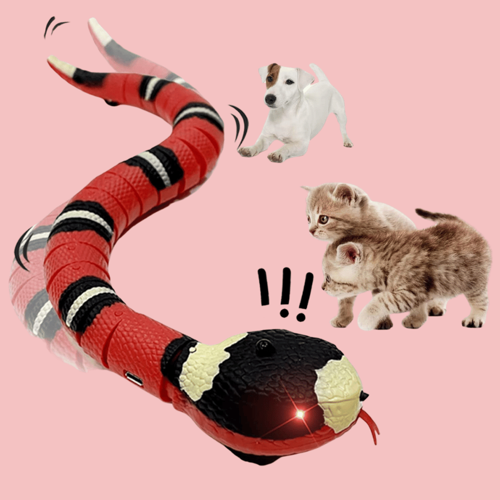 6 Slithering Snake Cat Toys: Is Your Cat Ready to Strike?