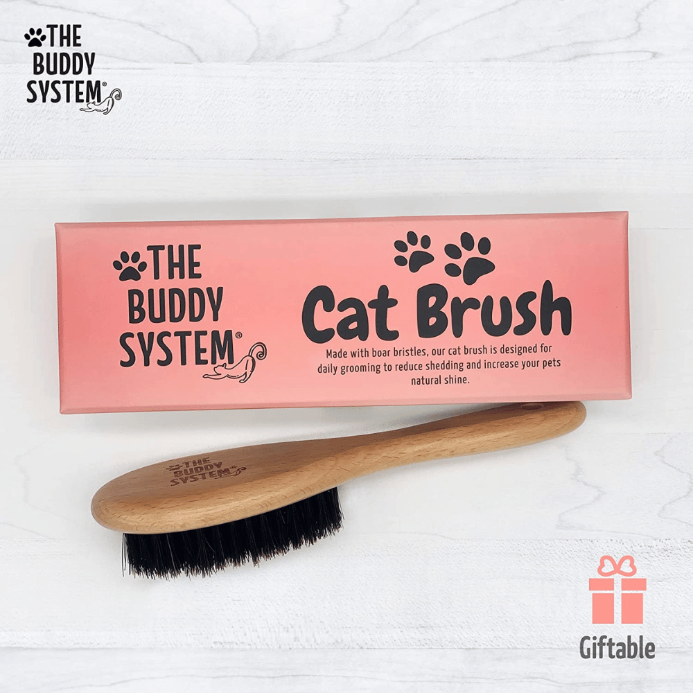 Slick Move: 6 Cat Slicker Brushes For a Fur-free Home!