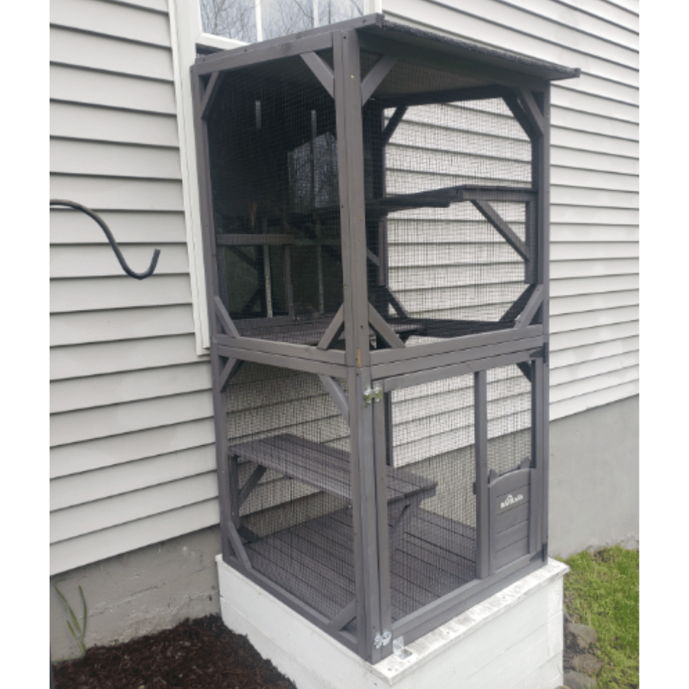 6 Outdoor Cat Enclosures: Let Your Feline Friend Explore in Style!