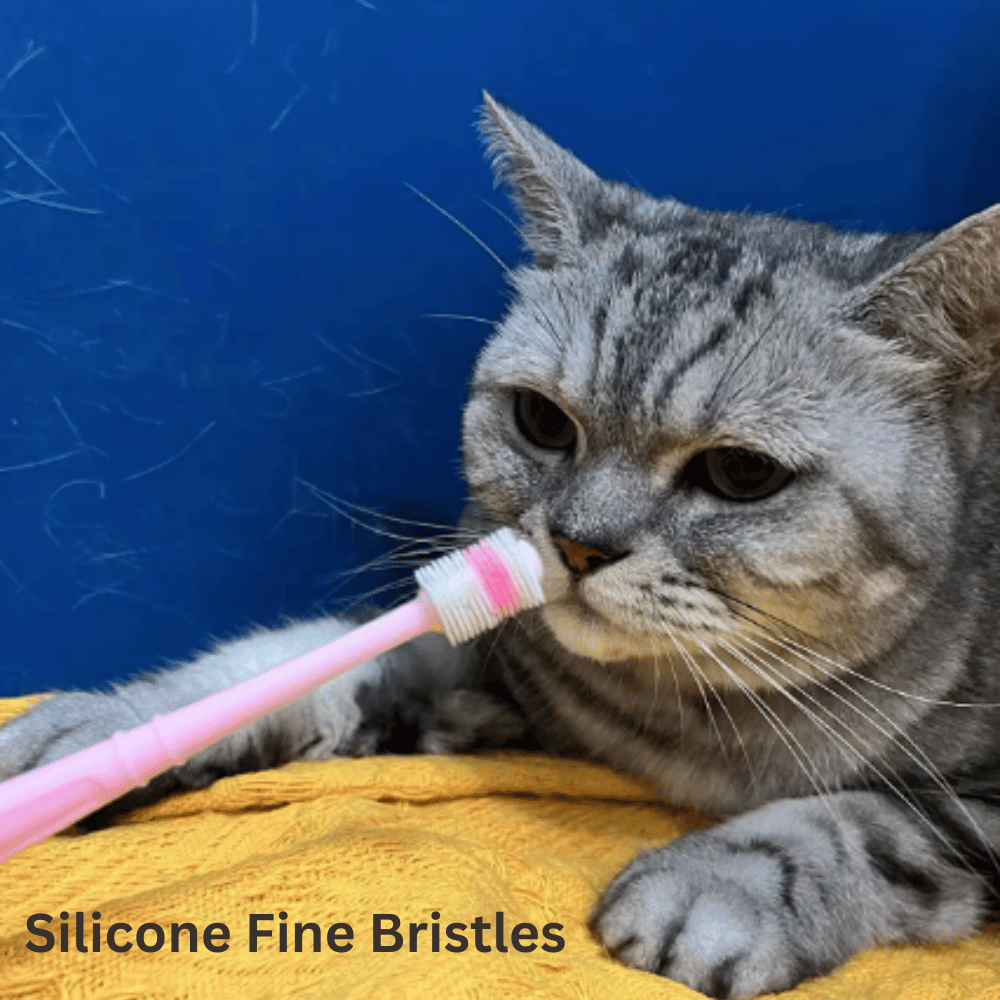 Feline Smiles: Reviewing 6 of the Best Toothbrushes For Cats
