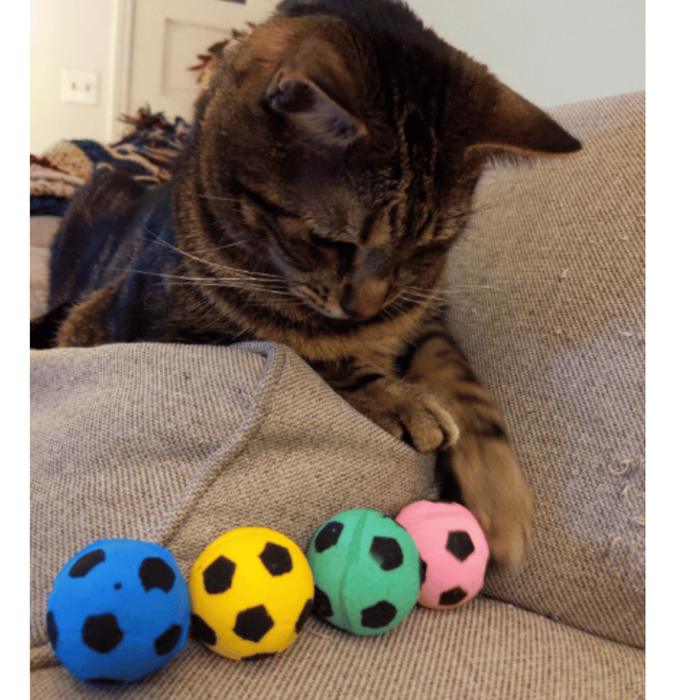 5 Purr-fect Cat Ball Toys: The Cats' Meow of Playtime Fun!