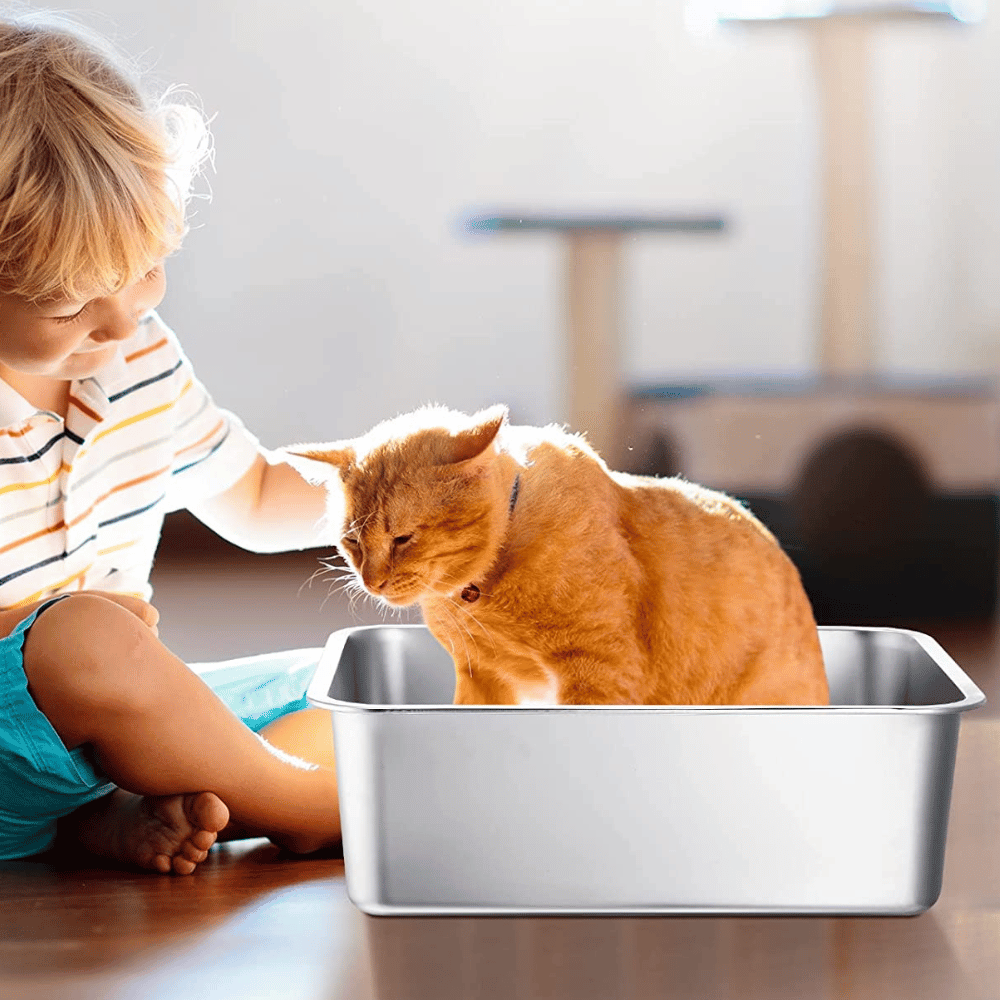 5 Stainless Steel Cat Litter Boxes: Which One Is Purr-fect?