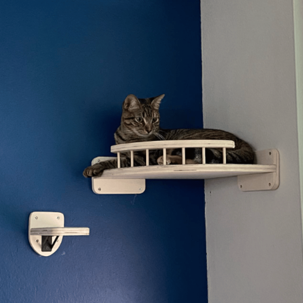 5 Corner Cat Shelves: Put Your Kitty's Paws On Top Of The World!