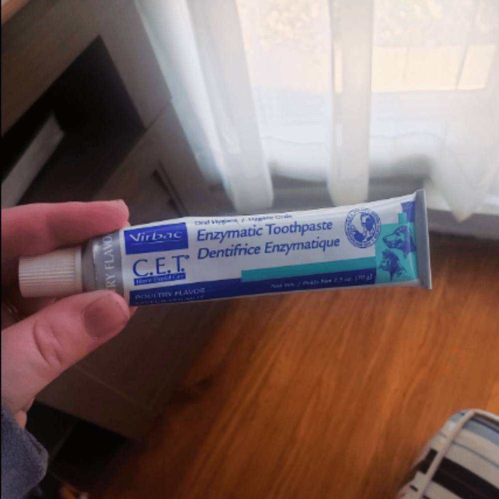 Kitty Smile Brightly: Rating The Top 5 Best Cat Toothpastes