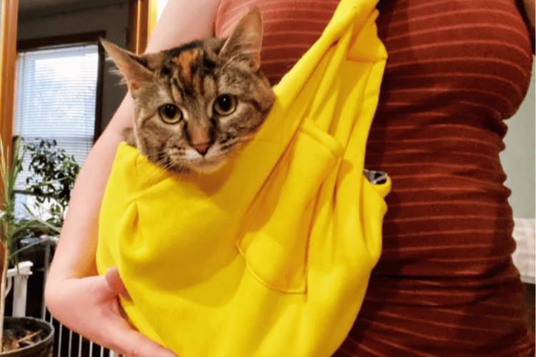 Cat Slings 101: The Ultimate Guide to Making Your Cat's Day