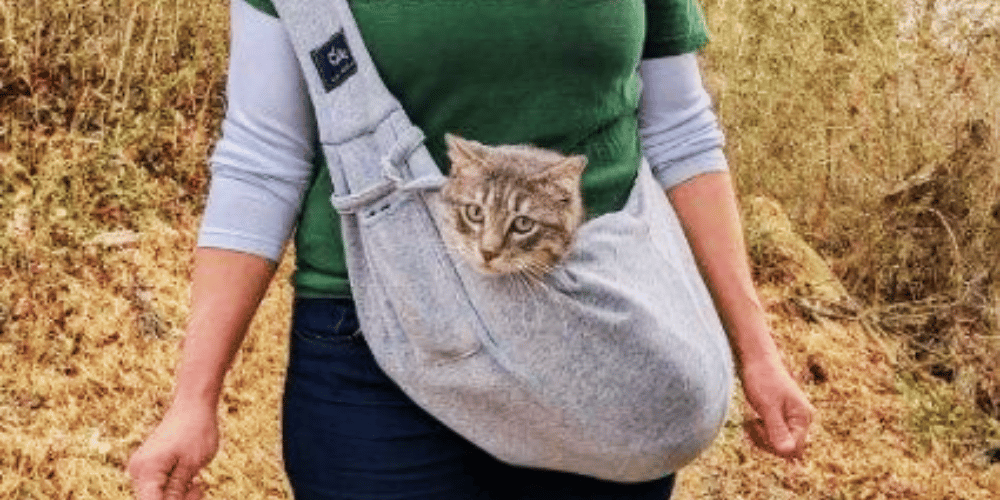 Cat Slings 101: The Ultimate Guide to Making Your Cat's Day