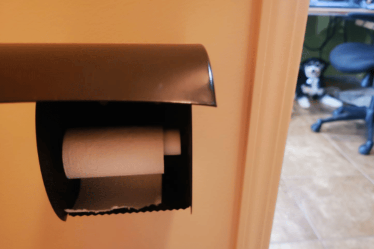Kitty vs. TP: Why Does My Cat Keep Ripping Up Toilet Paper?