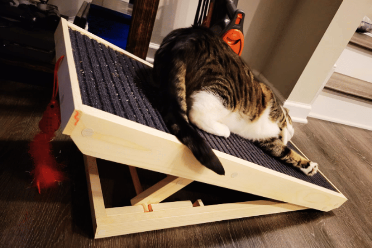 Elevated Excellence: What Is The Best Angle For A Cat Ramp?