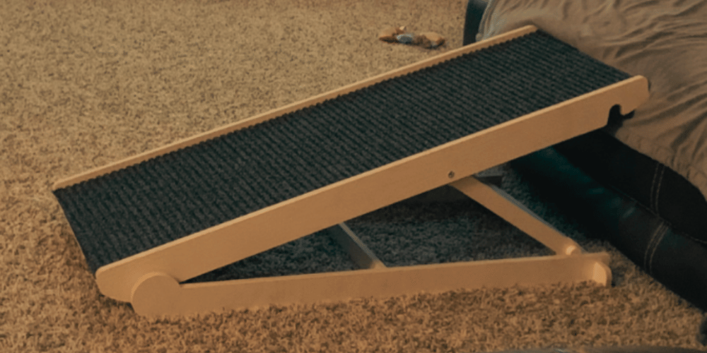 Ramp Up Your Cat's Life: Will Cats Use A Ramp?